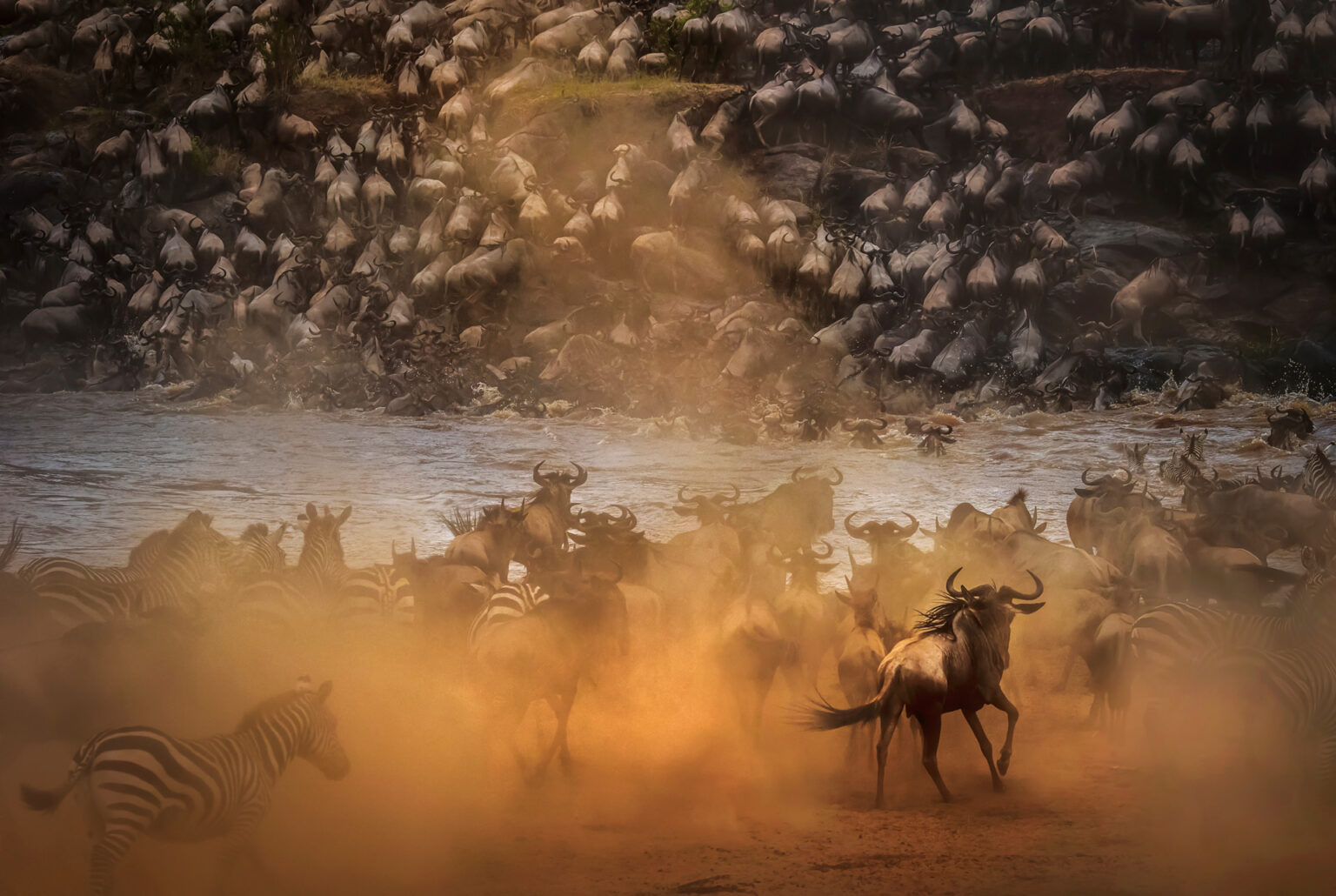 The Great Wildebeest Migration Serengeti, Tanzania